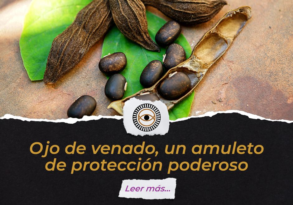 Lectura De Cartas Sra. Doris - Ojo de venado, un amuleto de protección ...